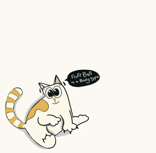 Fat Cat GIF - Fat Cat Love - Discover & Share GIFs