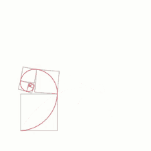Fibonacci Animation GIFs | Tenor