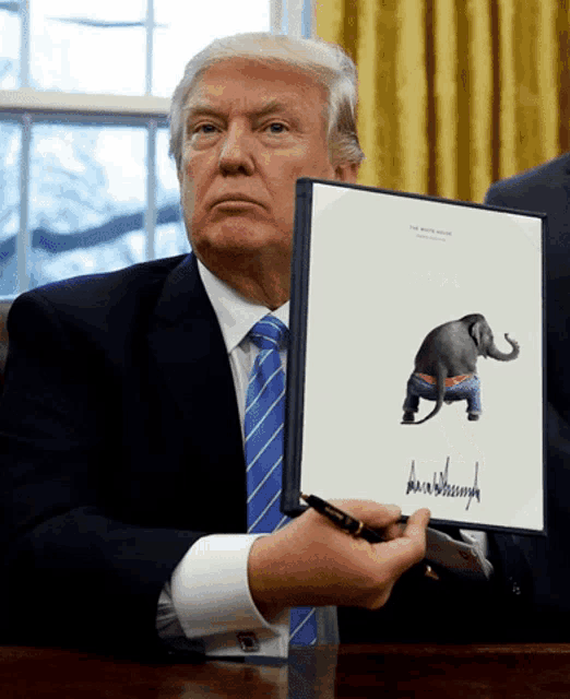 Election Reaction Election Reaction Trump Discover And Share S