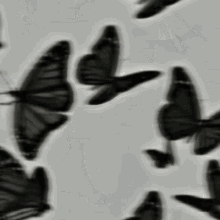 Back GIF - Back - Discover & Share GIFs