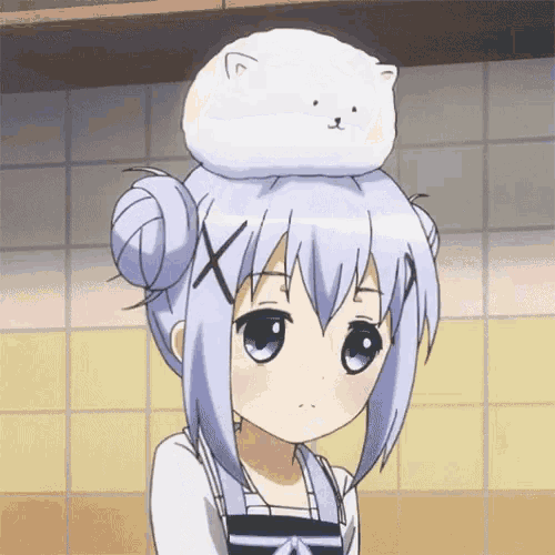 Chino Kafuu Anime Chino Kafuu Anime Fix Cats Discover And Share S