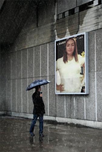 Rain GIF - Rain - Discover & Share GIFs