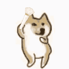Boa Dance GIFs | Tenor