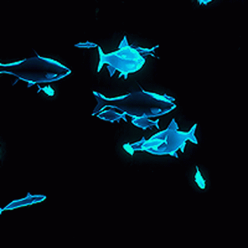 Fish GIF - Fish - Discover & Share GIFs