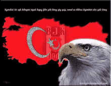 Turkey Flag Gif GIFs | Tenor