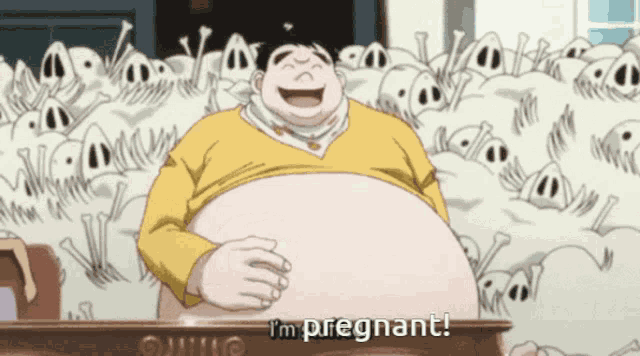 Im Pregnant Hunter X Hunter Im Pregnant Hunter X Hunter Hxh Discover And Share S