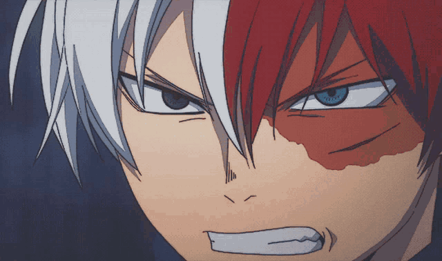 Todoroki Todoroki Discover And Share S