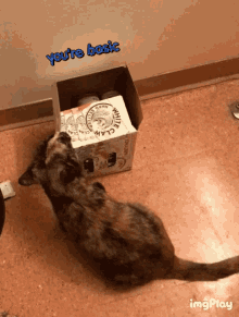 Basic White GIFs | Tenor