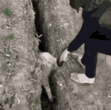 Problems GIF - Problems - Discover & Share GIFs