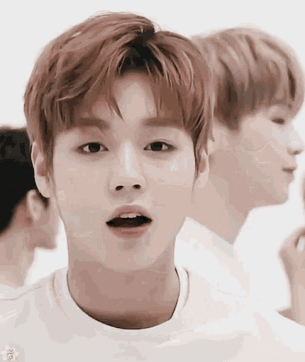 K Pop K Pop Discover And Share S