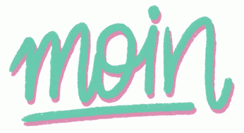 Moin Ahoi Sticker - Moin Ahoi Ahoy - Discover & Share GIFs