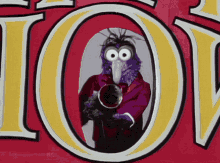 Gonzo GIFs | Tenor