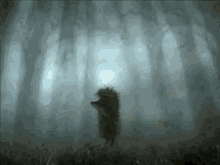Fog GIFs | Tenor