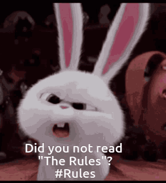 Rules Rules Discover And Share S