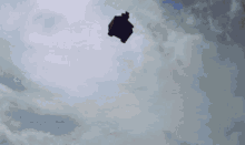 Monty Python Bunny GIFs | Tenor