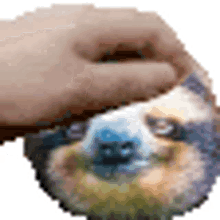 Sloth Discord Emojis - Sloth Emojis For Discord