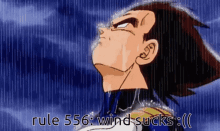 Vegeta Under The Rain GIF - Vegeta Under The Rain - Discover & Share GIFs