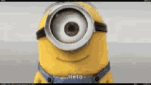 Minions Hello GIFs | Tenor