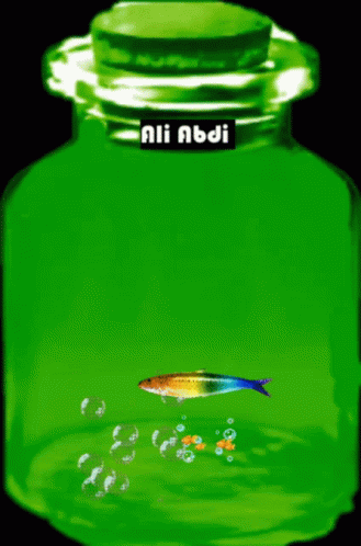 Fish GIF - Fish - Discover & Share GIFs