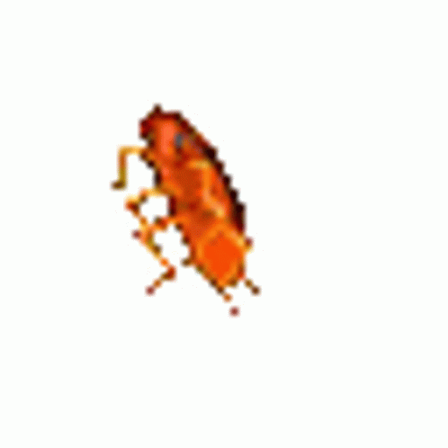 Roach Dancingroach Sticker - Roach Dancingroach - Discover & Share GIFs