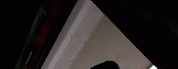 Ceiling GIF - Ceiling - Discover & Share GIFs