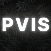 Pvis GIF - PVIS - Discover & Share GIFs