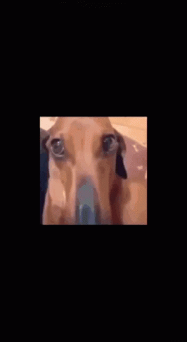 Kk GIF - Kk - Discover & Share GIFs