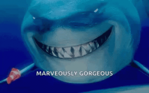 Shark Nemo GIF - Shark Nemo Finding - Discover & Share GIFs