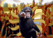 Pp GIF - PP - Discover & Share GIFs