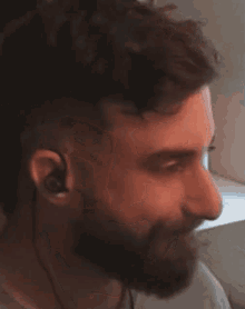 Hareas GIF - Hareas - Discover & Share GIFs