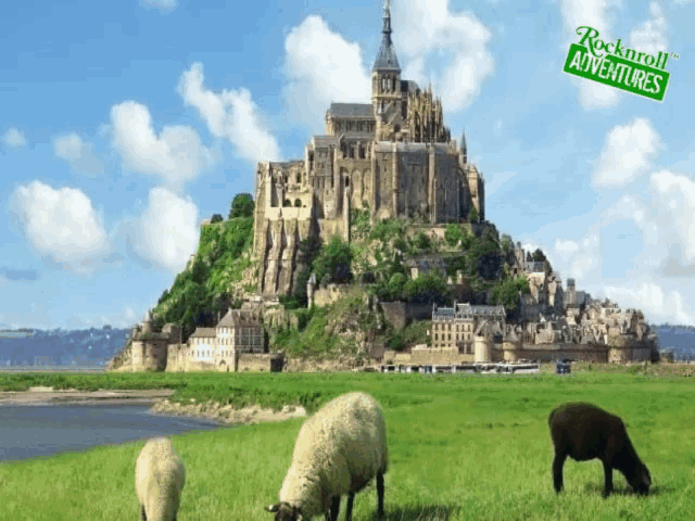 School Trips Normandy School Trips To Normandy School Trips Normandy School Trips To