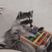 Abacus GIFs | Tenor