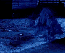 Hellhound GIF - Hellhound - Discover & Share GIFs