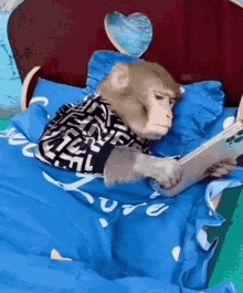 Macaco GIF - Macaco - Discover & Share GIFs