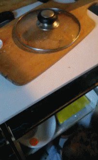 Kitchen GIF - Kitchen - Discover & Share GIFs