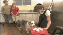Ptsd Funny GIFs | Tenor