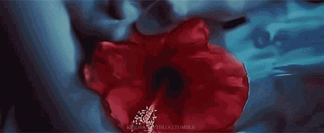 Soft Couple Soft Couple Romance Discover And Share S