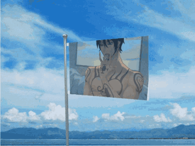 Law One Piece One Piece Law Law One Piece One Piece One Piece Law Discover And Share S