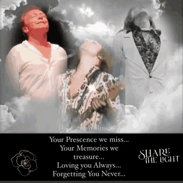 David Cassidy The Cassidy Rose David Cassidy The Cassidy Rose Discover And Share S