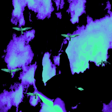 Lsd Vision GIFs | Tenor